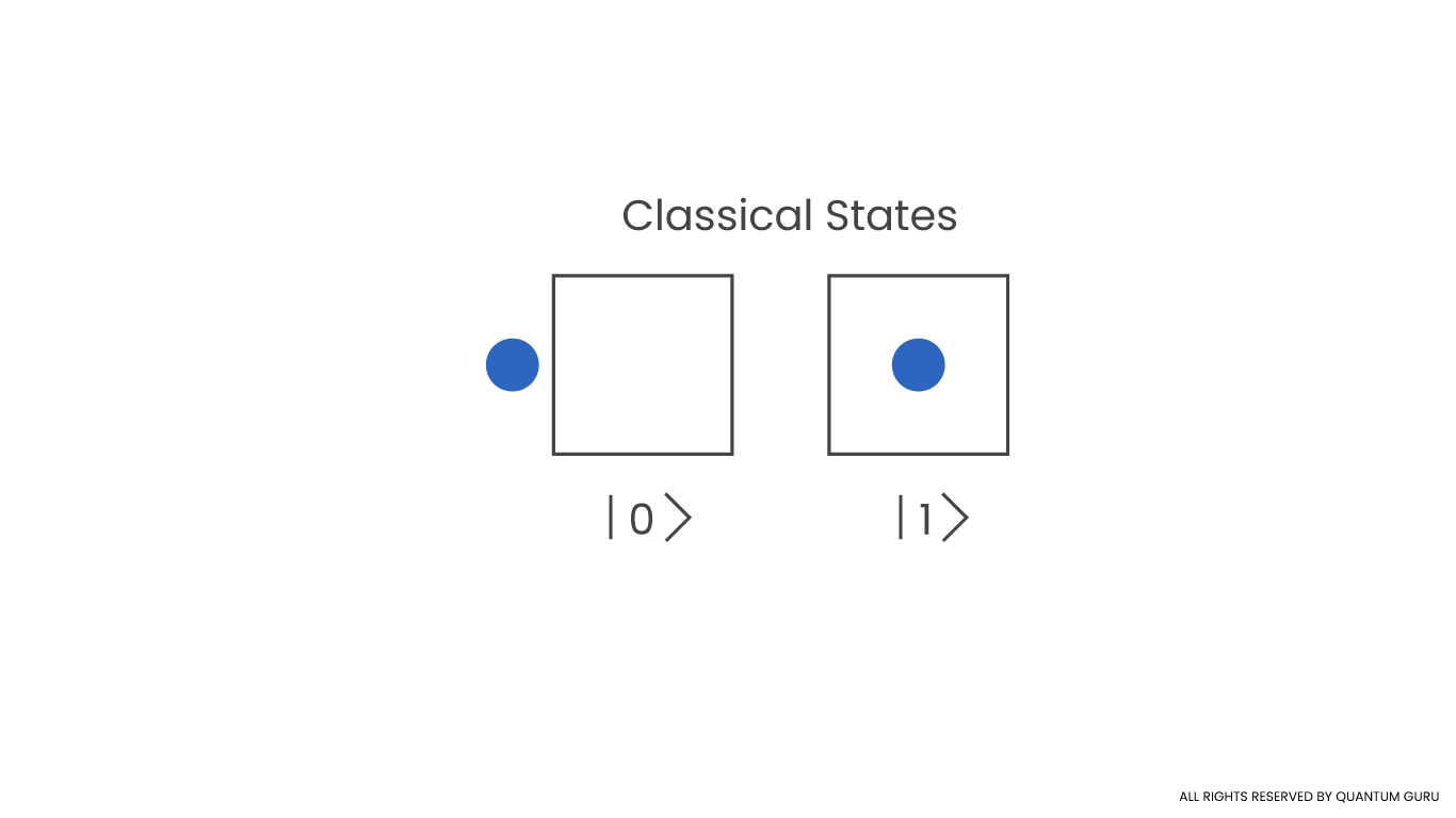 The Famous Schrödinger's Cat Dead or Alive? - Welcome to Quantum Guru